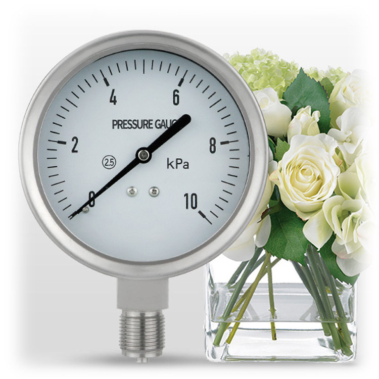 All Stainless Steel 2.5% Precision Manometer Gauge for 250 Bar ...